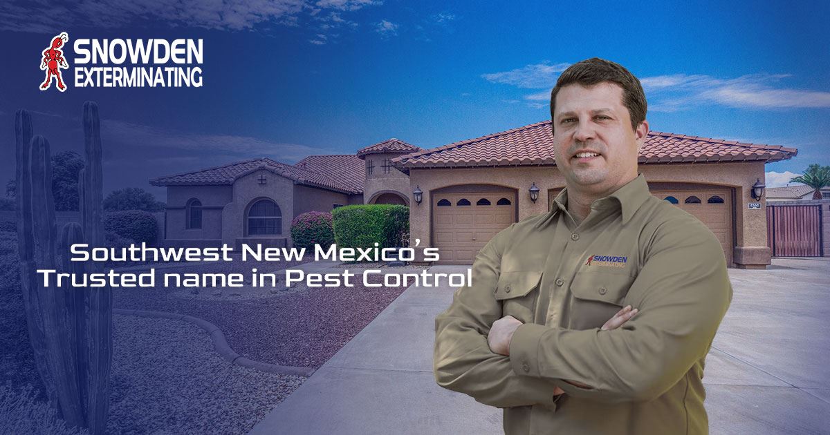 Superior Pest Control Deming, NM | Snowden Exterminating